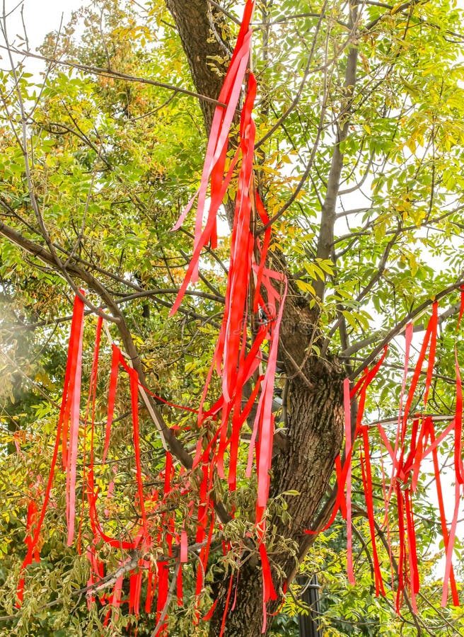Wish Tree with red ribbons stock image. Image of beautiful - 30839091