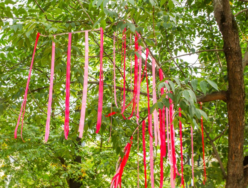 Red Ribbons on the Branches of a Tree Stock Image - Image of decoration ...