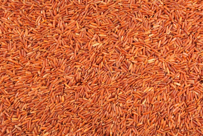 Red Rice stock photo. Image of plant, white, eating, isolated - 12283644