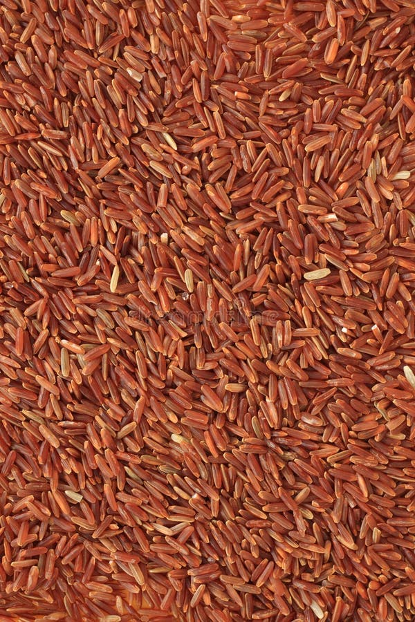 Red rice background stock image. Image of nature, grain - 33436721