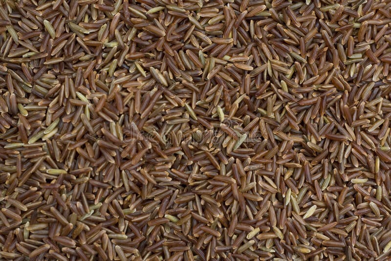 Red rice stock photo. Image of drie, ingredient, unpeeled - 25107686