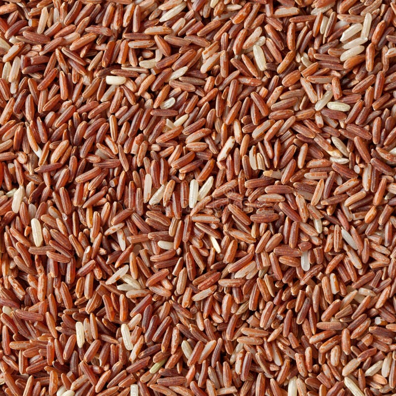 Rice grains mix color stock photo. Image of background - 49587650