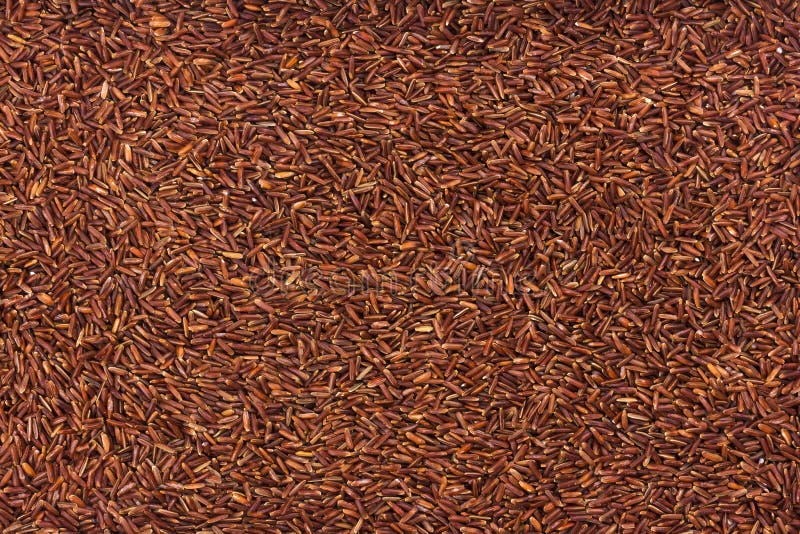 Red rice background stock photo. Image of reis, energy - 18195024