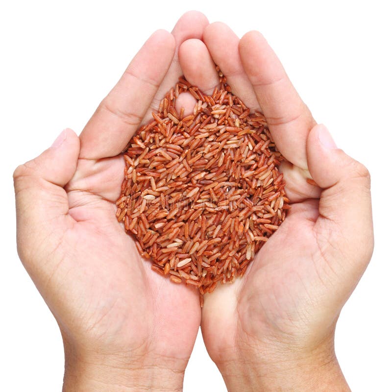 Red Rice close-up stock image. Image of food, economy - 44400375