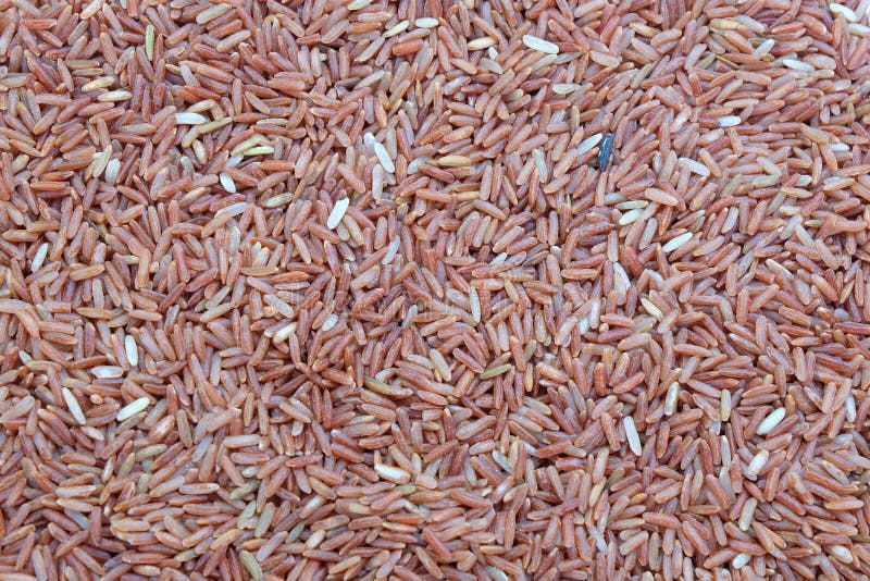 Red rice stock image. Image of agriculture, ingredient - 53369809