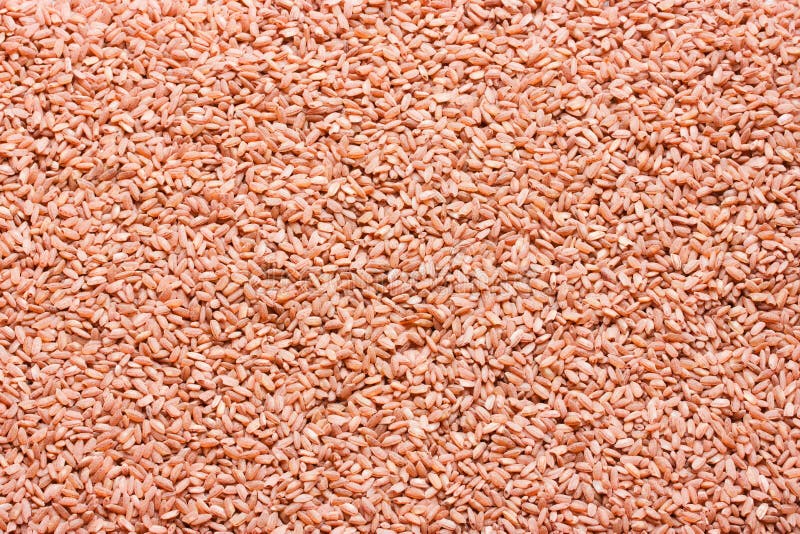 Red Rice Devzira Background Stock Photo - Image of diet, backdrop: 73388762
