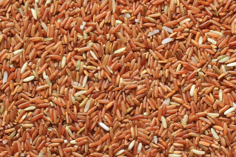 Red rice grains background stock photo. Image of handful - 25799422