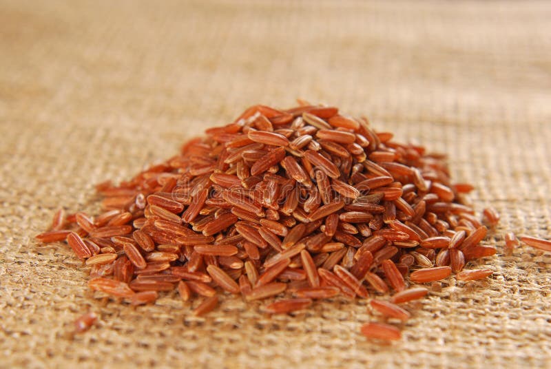 Red Paddy Rice in the Paddy Field. Red Rice Stock Image - Image of farm ...