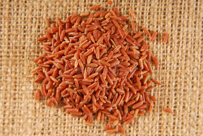 Red rice on hessian stock photo. Image of ingredient - 45981002