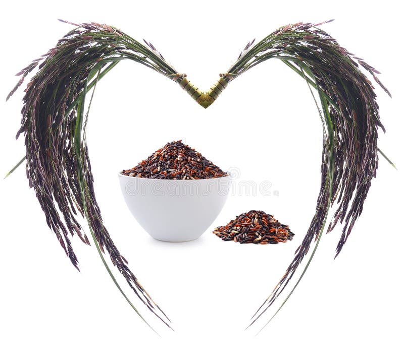 Red Rice Isolated on White Background Stock Photo - Image of meal ...