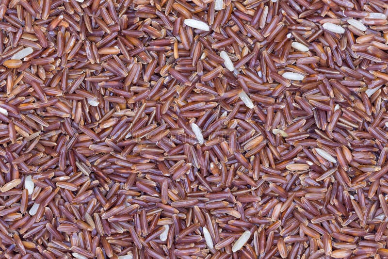 Red rice stock image. Image of healthy, diet, spoon - 100204341
