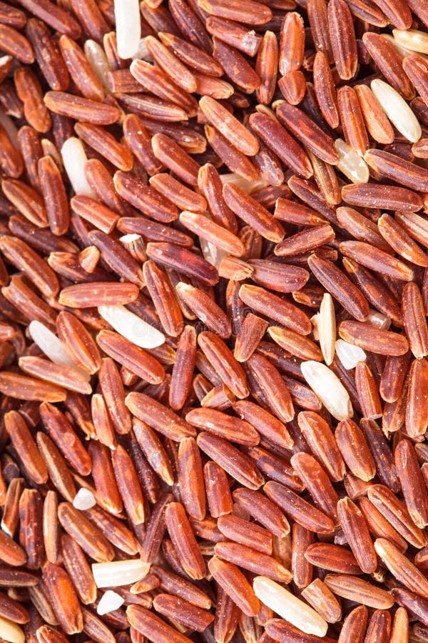 Red rice stock image. Image of natural, varieties, meal - 37182031