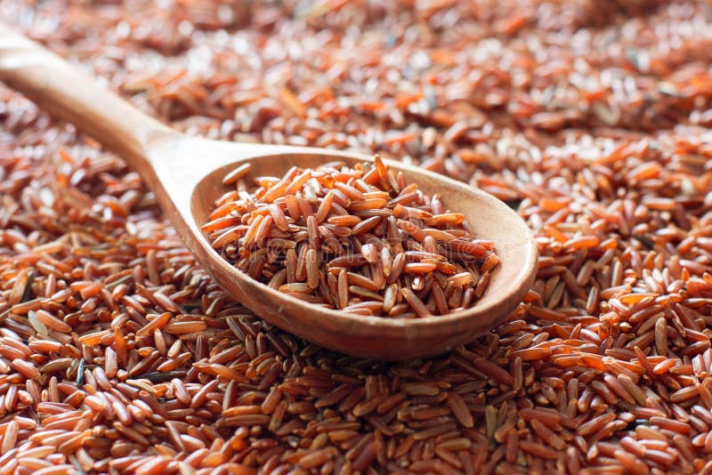 Red rice stock photo. Image of grain, rice, selective - 57544544