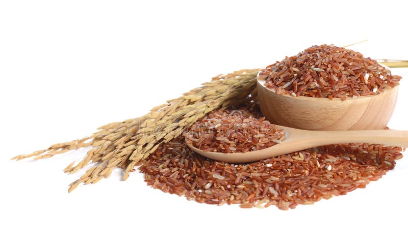 Red and white rice grains stock photo. Image of detail - 25799508