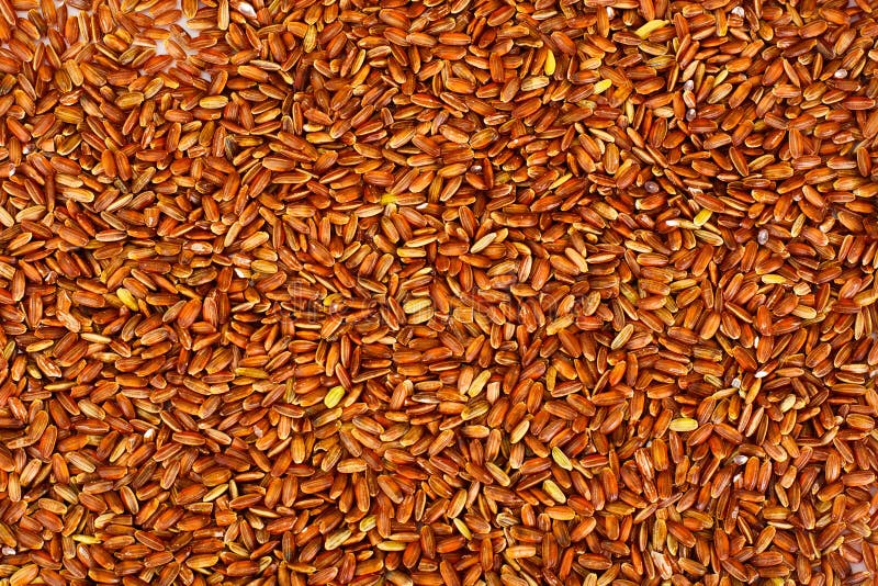 Red Rice Whole Grains stock photo. Image of brown, plant - 68650088