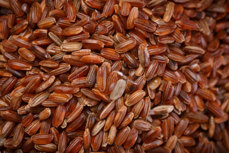 Red rice stock photo. Image of healthy, food, dietary - 39924304