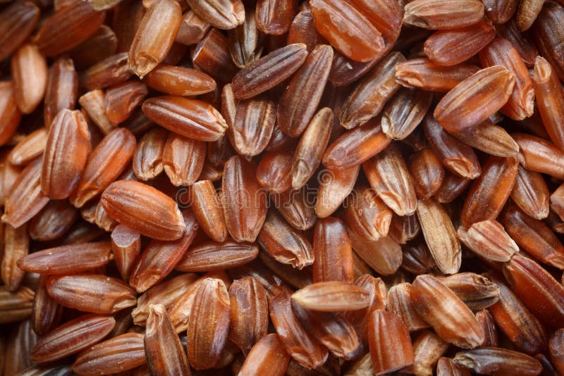 Red rice stock photo. Image of seed, asian, objects, rice - 40051104