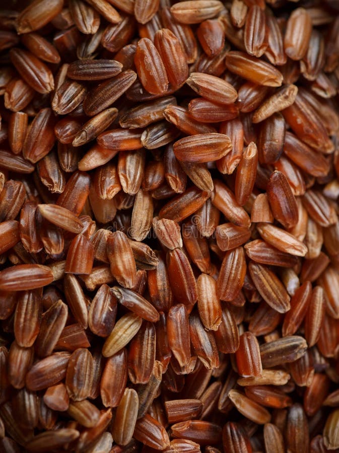 Red rice stock photo. Image of organic, brown, rough - 40778894