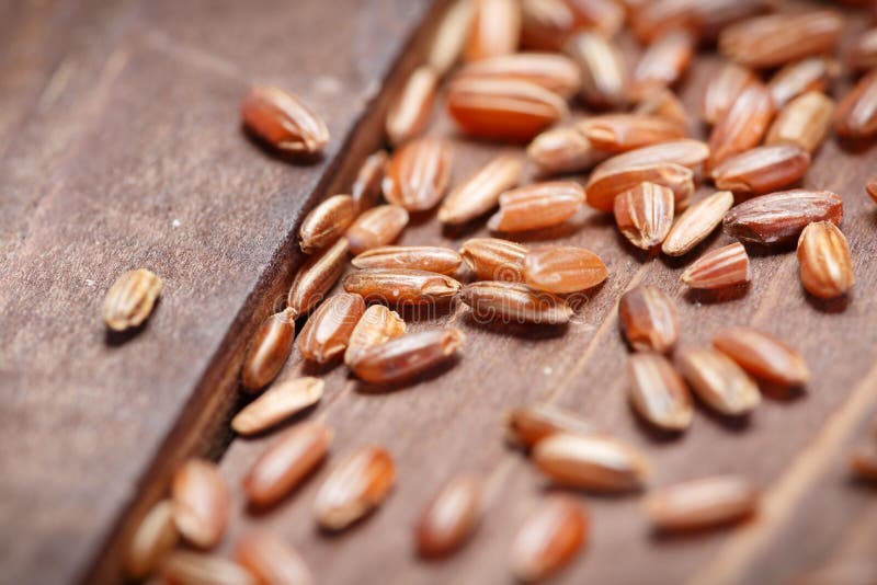 Red rice stock image. Image of healthy, dieting, south - 41529927