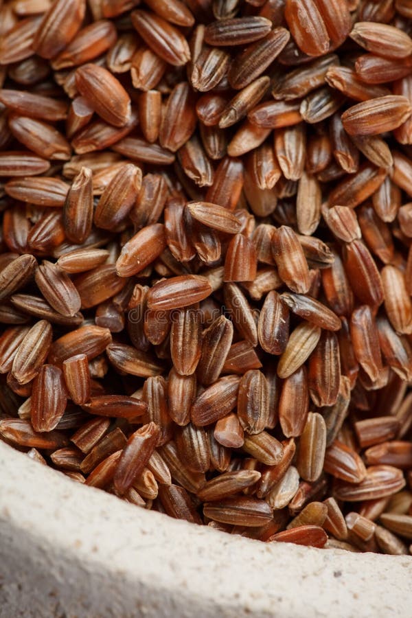 Red rice stock image. Image of asia, objects, brown, closeup - 47802229
