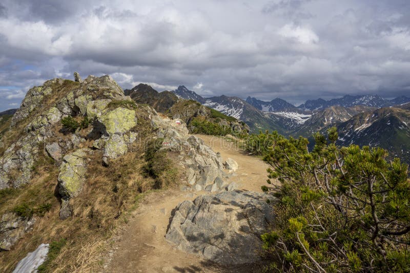 The Red Ridge Trail Towards the Kasprowy Peak. Tatra Mountains Stock ...