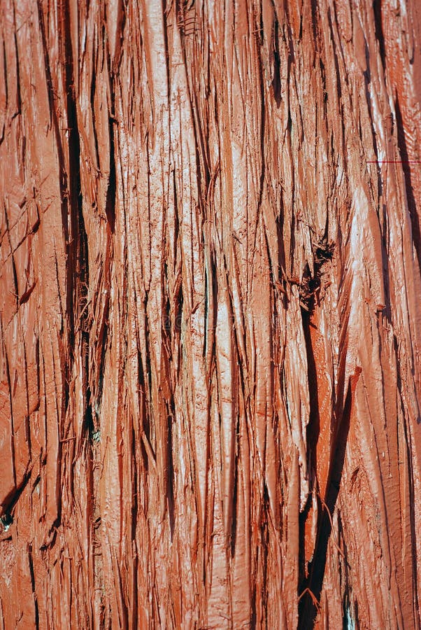 Red rind stock photo. Image of warrant, signed, document - 12725184