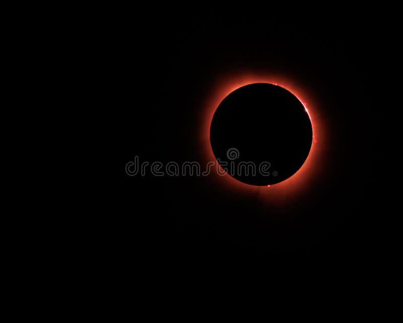 Cynthia Hanevy (Chanevy) - Photographer profile