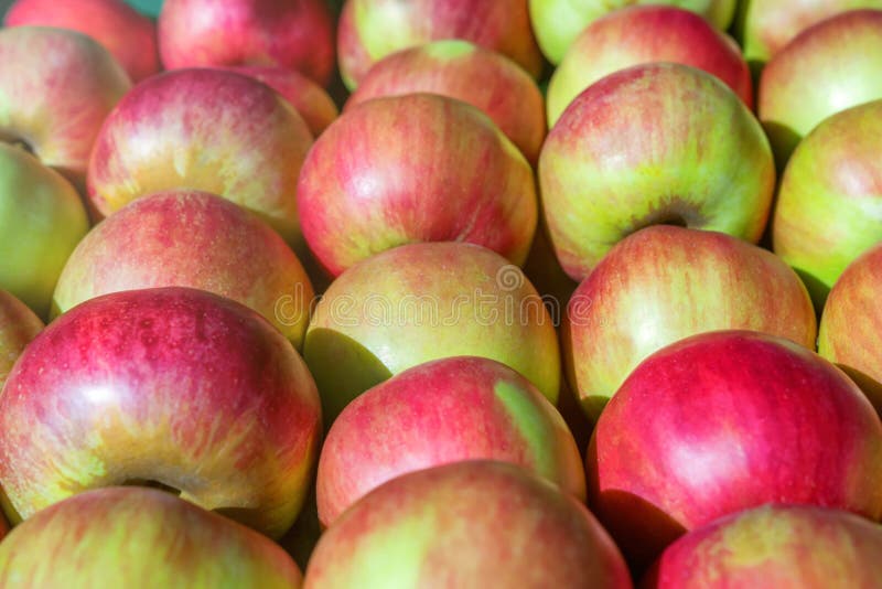 Red Ripe Apples Background stock image. Image of gardening - 189130739