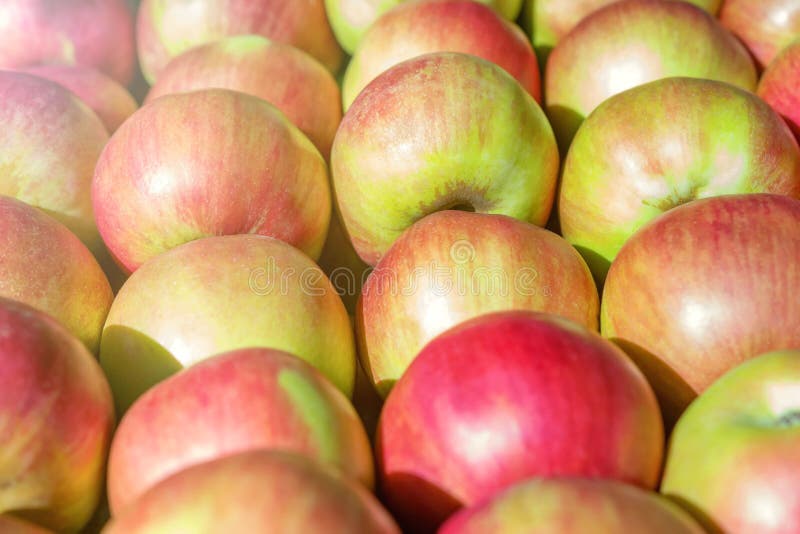 Red Ripe Apples Background stock image. Image of natural - 159523329