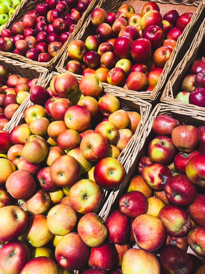 Red Ripe Apples on the Market Showcase. Background Stock Image - Image ...