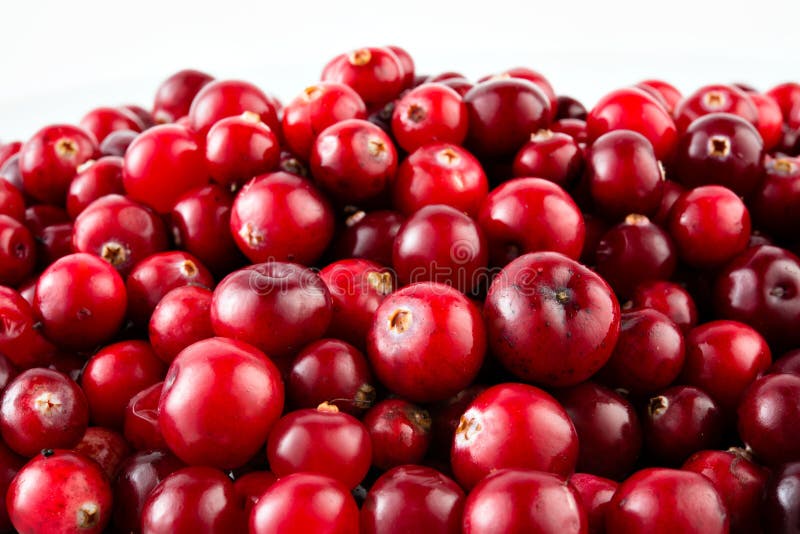 Ripe cranberries stock photo. Image of fresh, ripe, autumn - 36015846