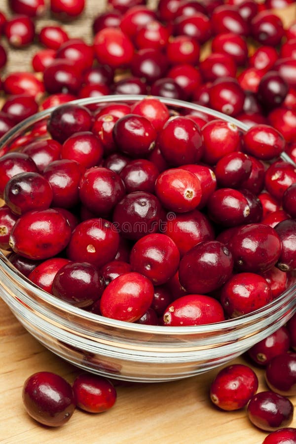 Red Ripe Cranberry stock photo. Image of produce, juice - 27582052