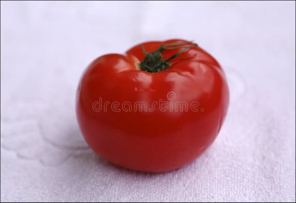 Red Ripe Large Tomato Side View Stock Photo - Image of view, tomato ...