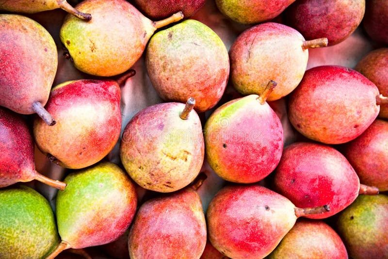 Red ripe pears stock image. Image of green, healthy, gourmet - 42871013