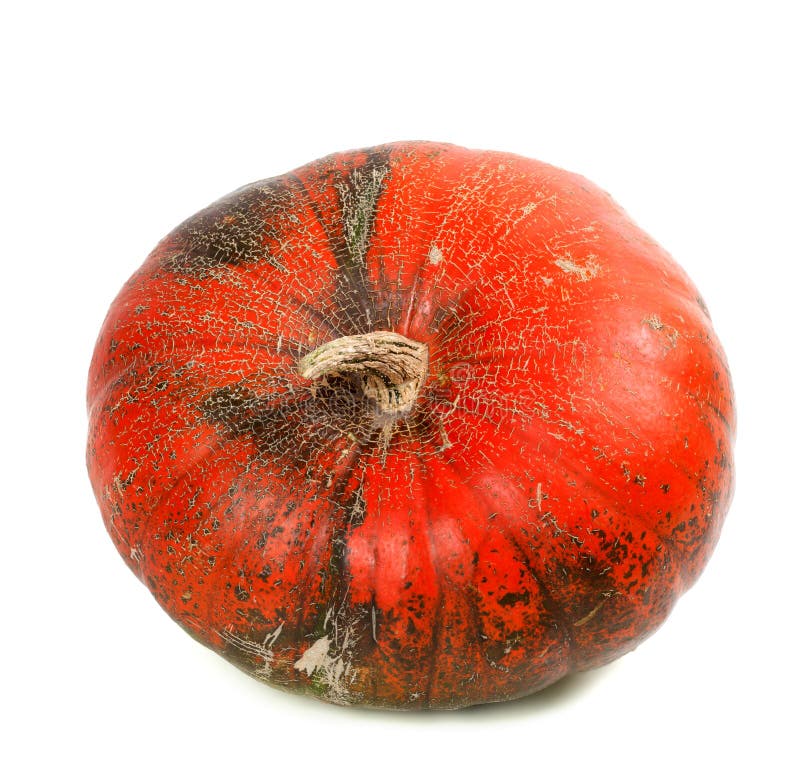 Red Ripe Pumpkin in Autumn Leaves. Stock Image - Image of ingredient ...