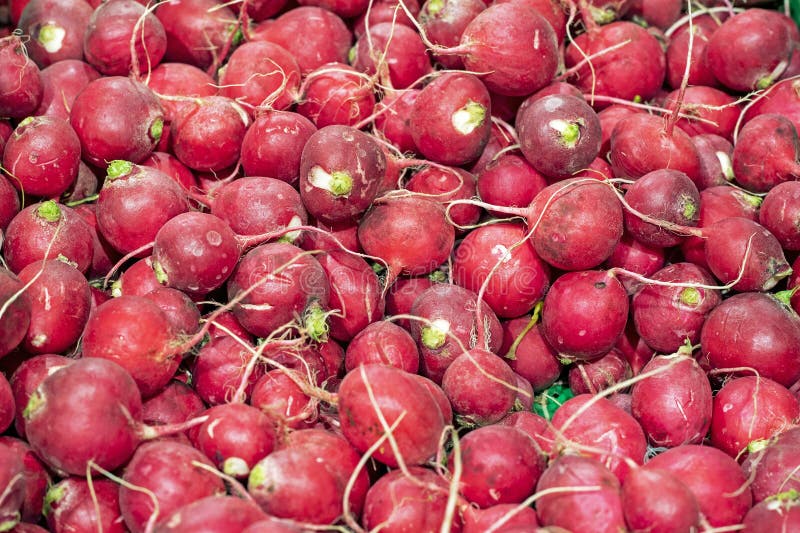 Red Radish in a Container in the Supermarket Stock Photo - Image of ...