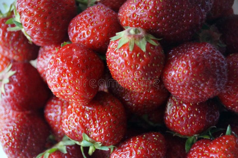 Red ripe strawberry fruit stock photo. Image of organic - 93570188