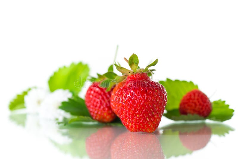 Red Ripe Strawberry Spring on a White Background Stock Photo - Image of ...