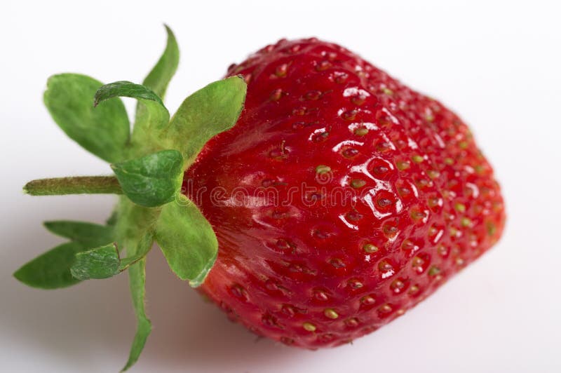 Red ripe strawberry. stock photo. Image of single, berry - 41792250