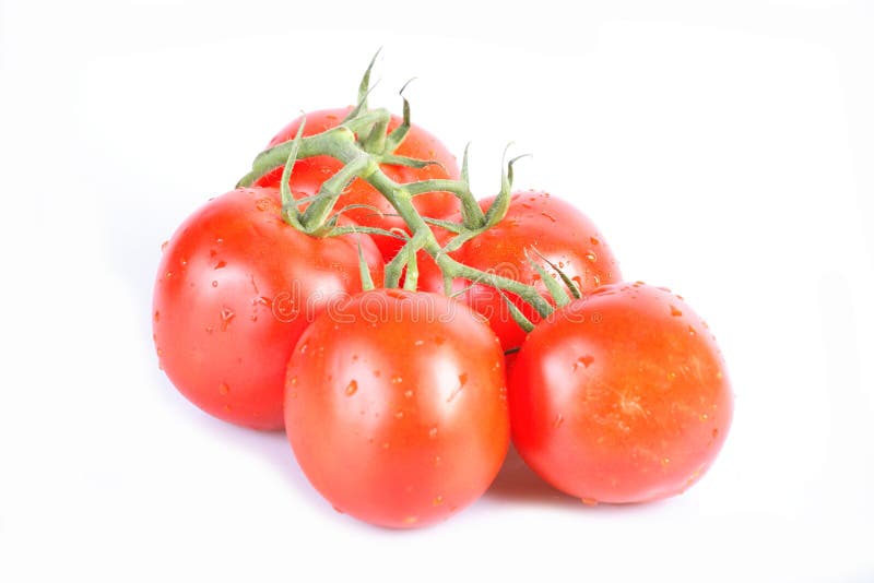 Red ripe tomatoes stock photo. Image of freshness, healthy - 10814022