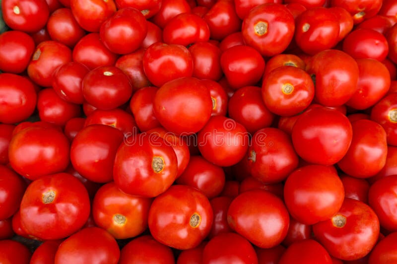 Red Ripe Tomatoes Background. Pile of Round Gourmet Tomatoes View from ...