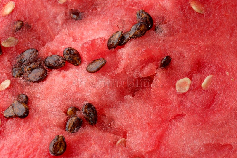 Red Ripe Watermelon with White and Dark Seeds Stock Image - Image of ...