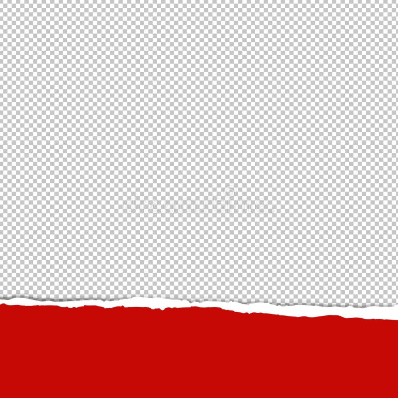 Red Ripped Paper Transparent Background Stock Vector - Illustration of ...