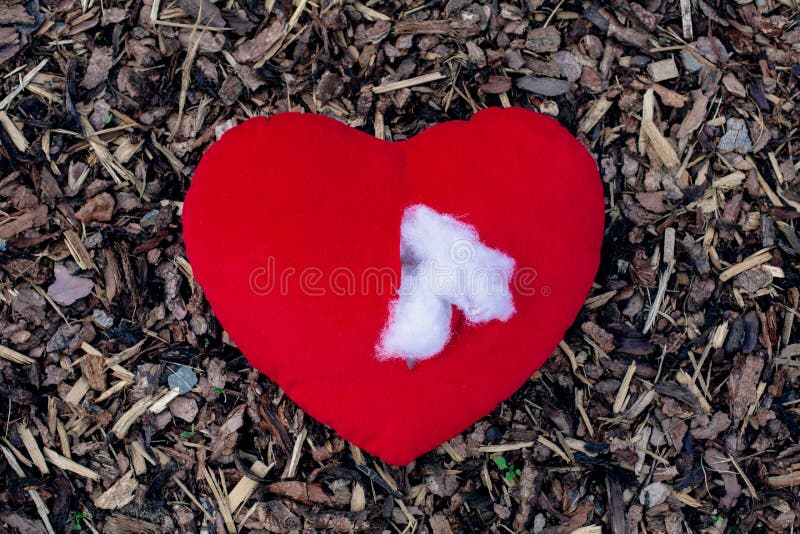 Ripped Stuffed Heart Lying on the Floor Stock Photo - Image of damaged ...