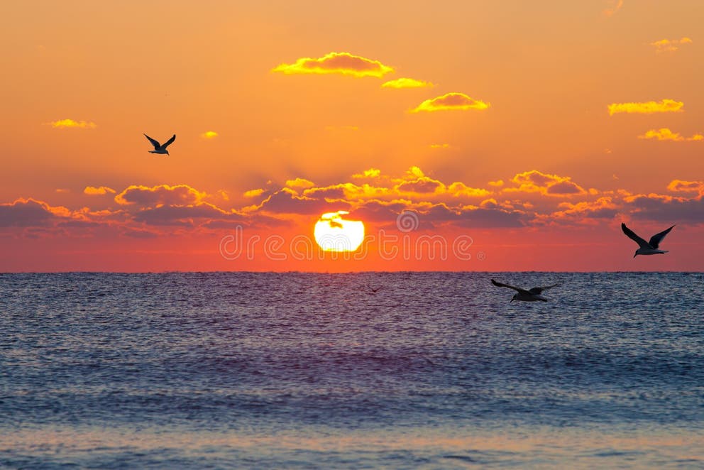Red rising sun stock photo. Image of tropic, sunrise - 17439470