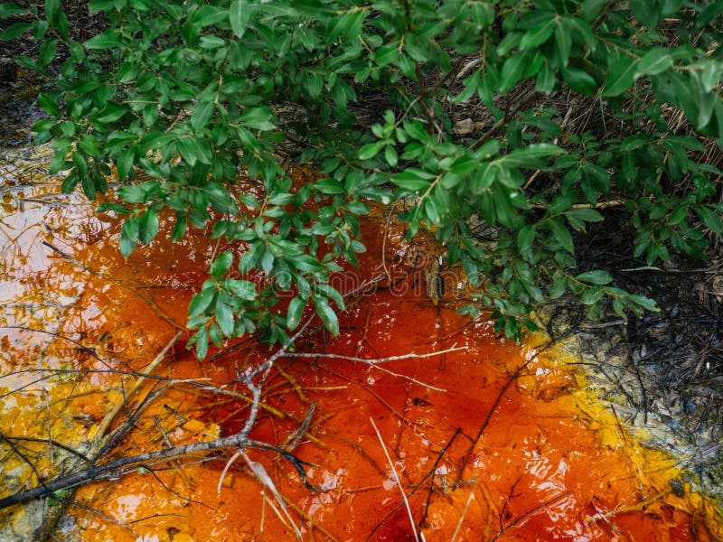 Red River from Clay Deposits. Abnormal Color of the River Stock Image ...