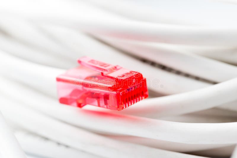 RJ45 plug with cable stock photo. Image of plug, click - 773544