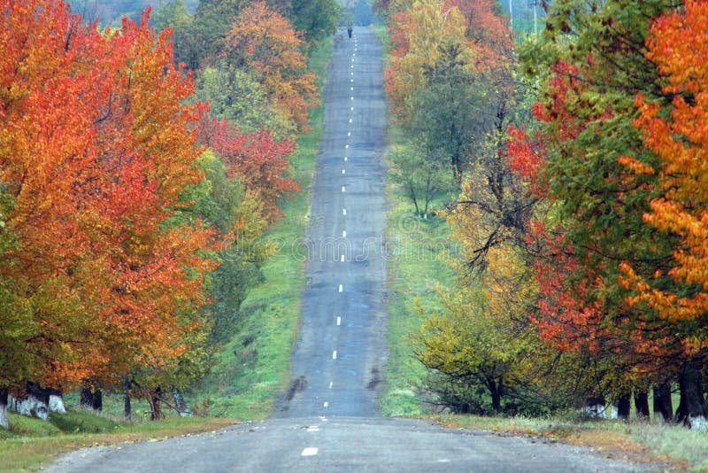Red road stock image. Image of outdoor, mist, beauty, weather - 3526579