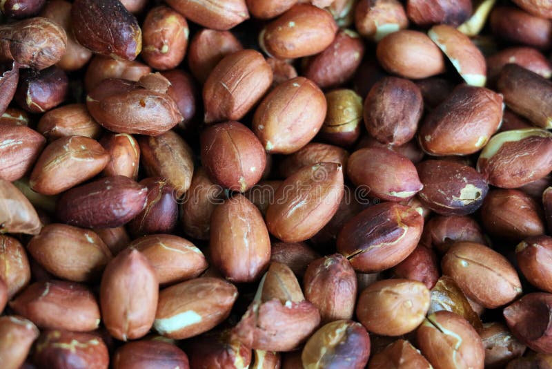 Red Roasted Peanuts, Some Open, with and without Peel. Stock Photo ...