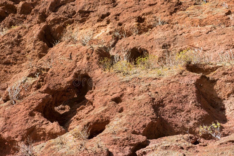 225 Red Tuff Texture Stock Photos - Free & Royalty-Free Stock Photos ...